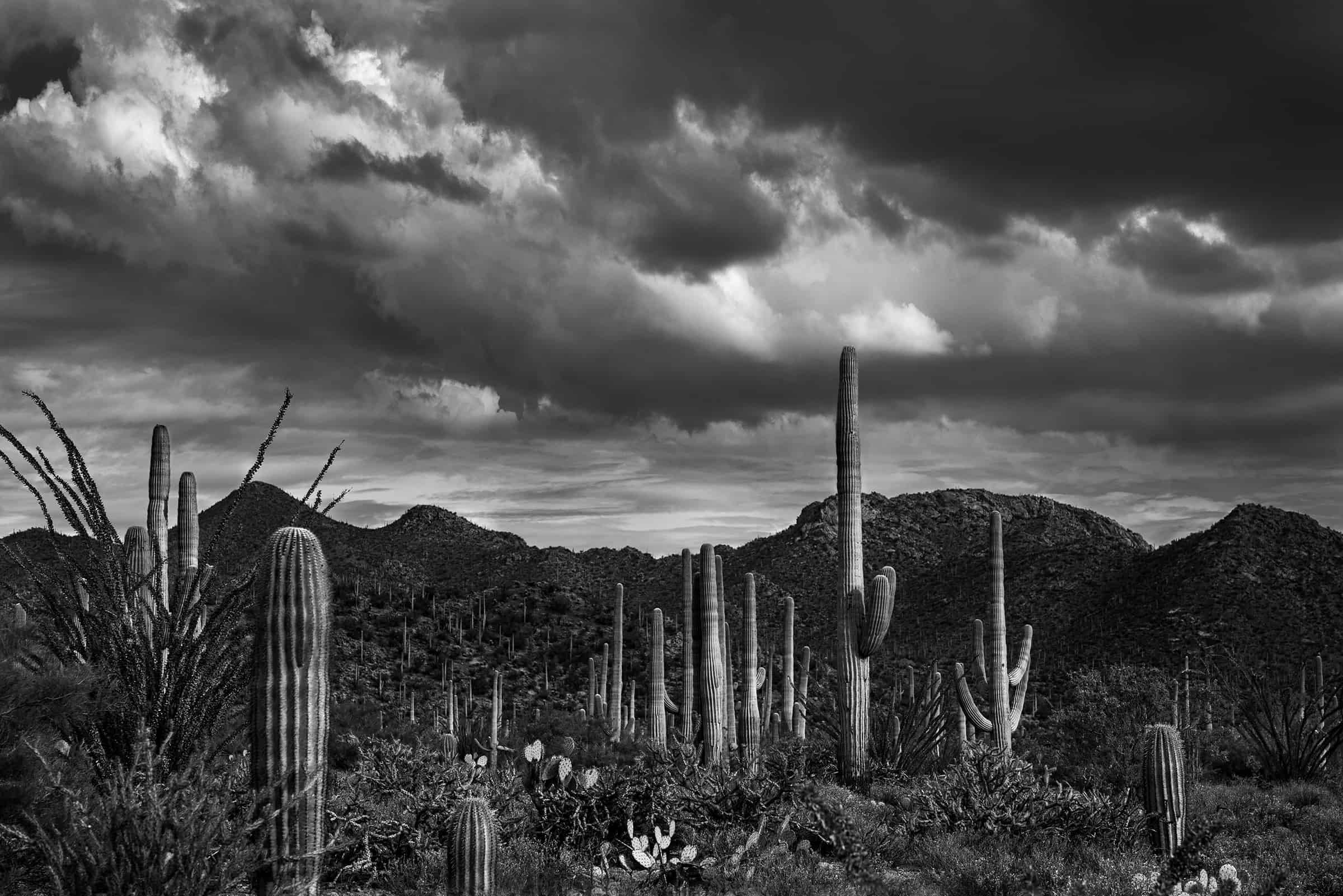 Landscape and Light – Silence & Slow Time